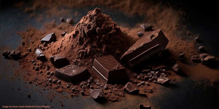 The Rich History of Chocolate: From Ancient Delicacy to Today Joy